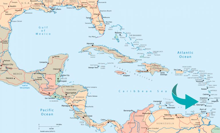 Welcome to paradise!